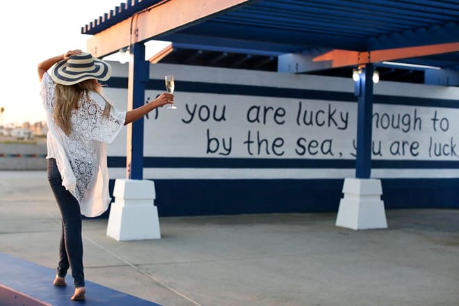 sealegs at the beach