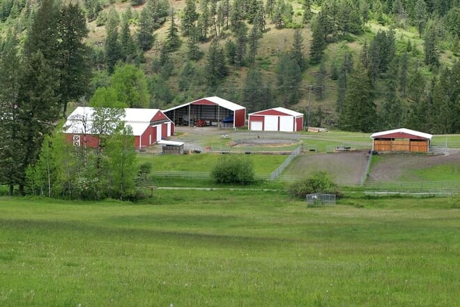 seven stars alpaca ranch