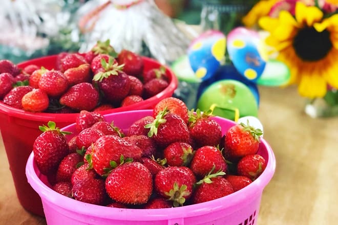 smith's nursery and strawberry farm