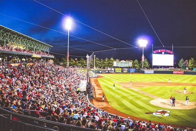springfield cardinals