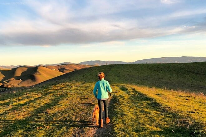 tassajara ridge trail loop