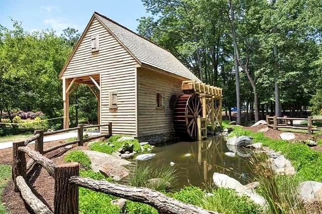 the bog garden at benjamin park