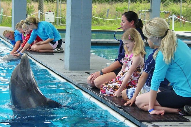 the institute for marine mammal studies