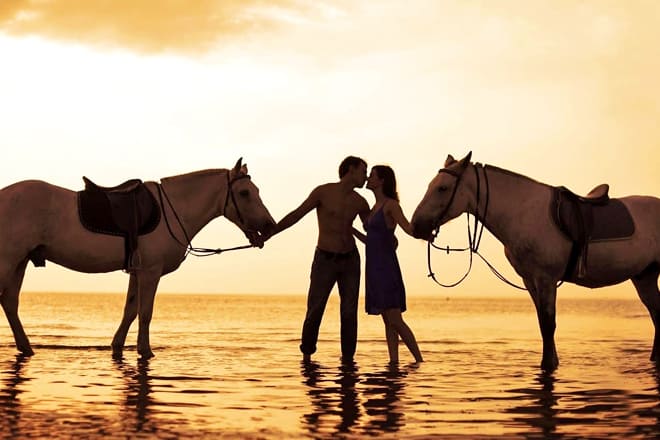 the real beachhorses