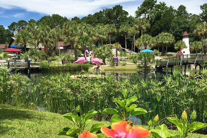 tropical adventure mini golf