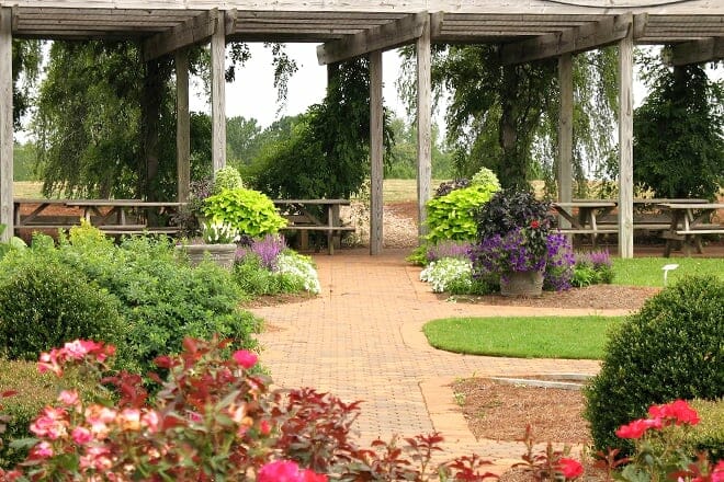 uga research and education garden