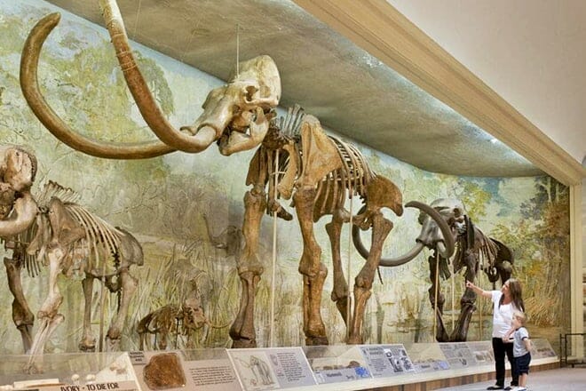 university of nebraska state museum