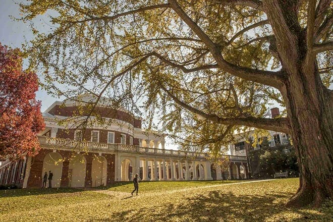 university of virginia