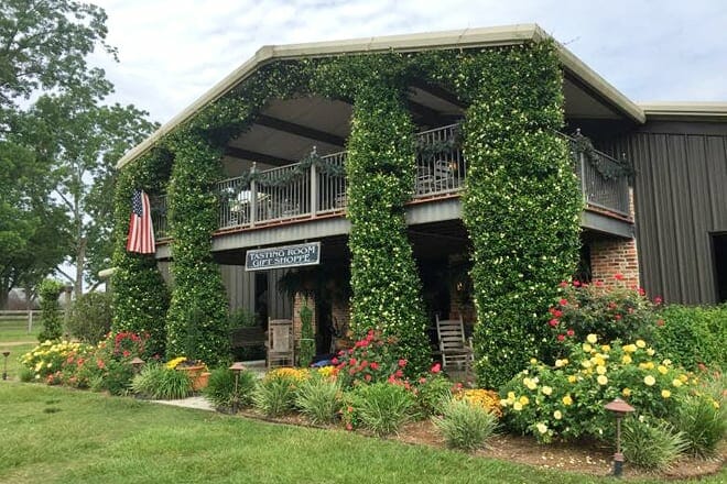 watermelon creek vineyard