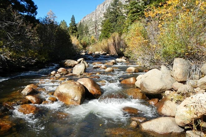 west fork carson river
