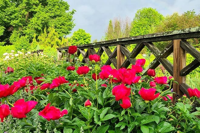 western kentucky botanical garden