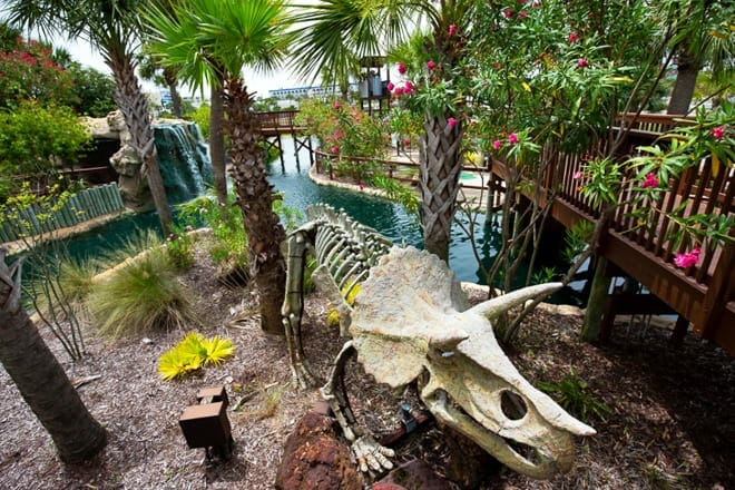 wild willy's adventure zone