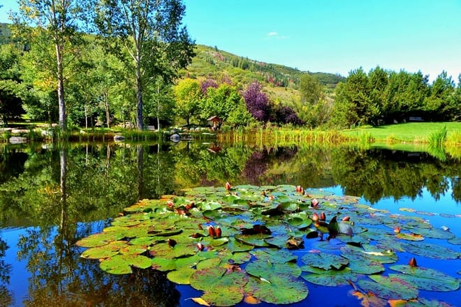yampa river botanic park