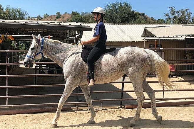 yater performance riding