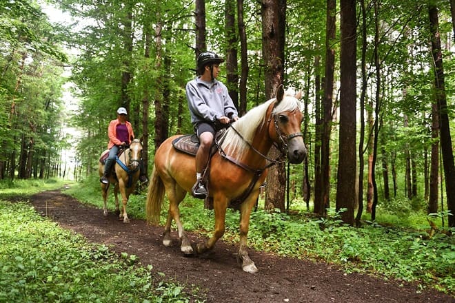 adventure horse riding in nys