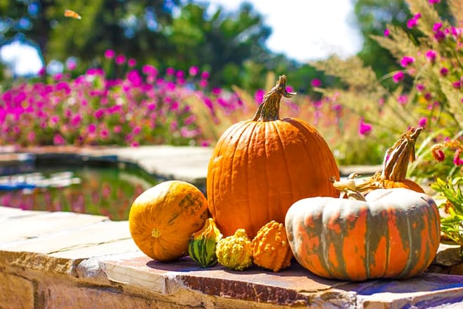 amarillo botanical gardens