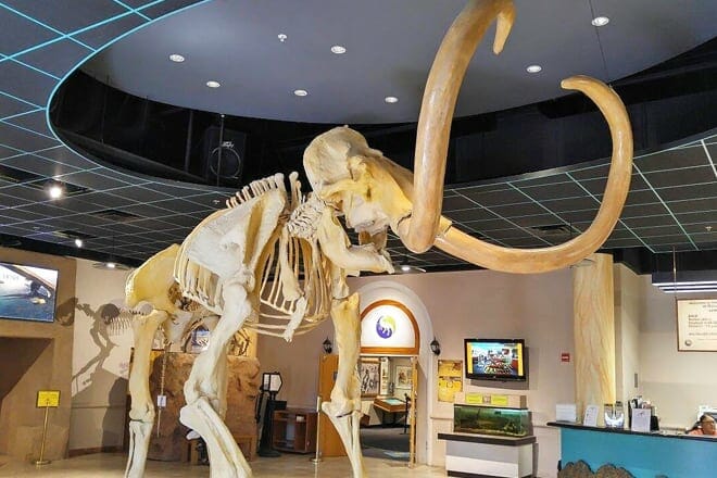 arizona museum of natural history