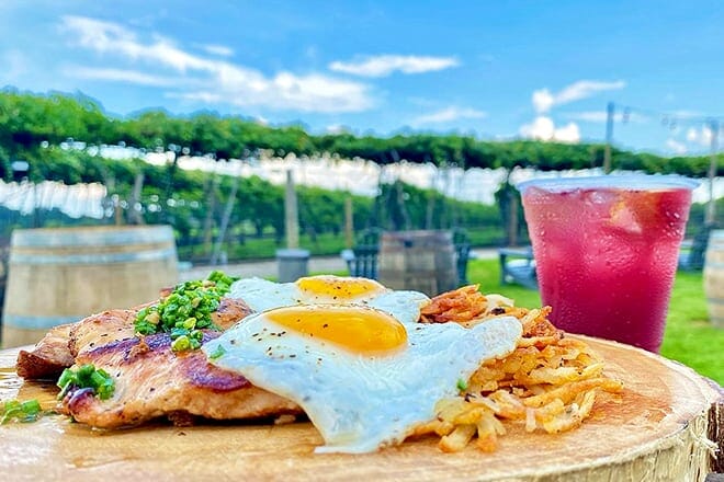 belkin family lookout farm