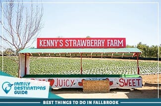 best things to do in fallbrook