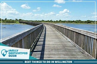 best things to do in wellington