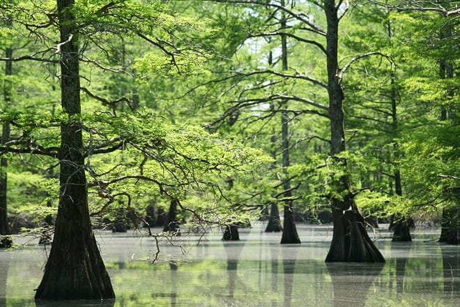 big lake national wildlife refuge
