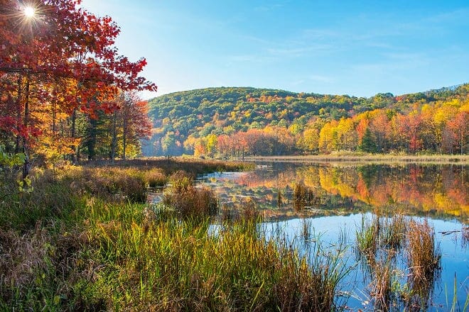binghamton university nature preserve