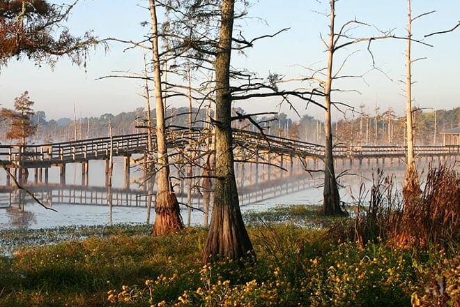 black bayou lake national wildlife refuge