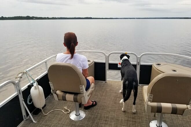 blackwater bay tours