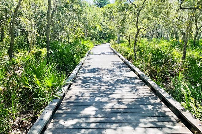 boca ciega millennium park