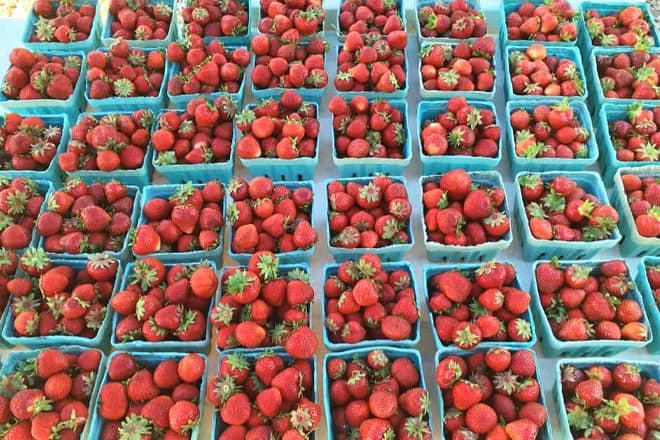callicoon farmers market