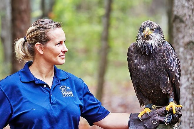carolina raptor center