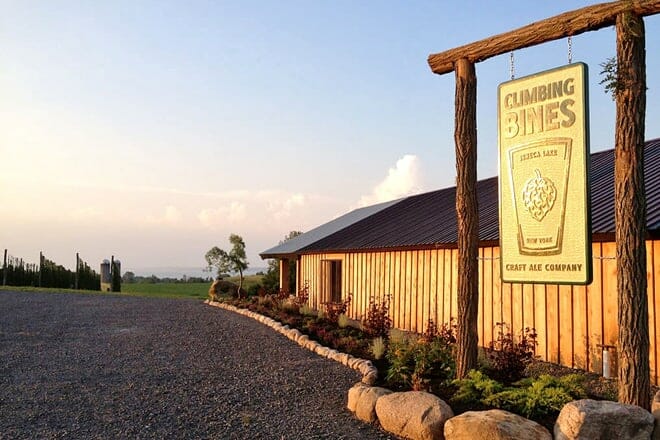 climbing bines hop farm