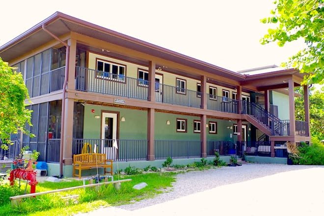 clinic for the rehabilitation of wildlife