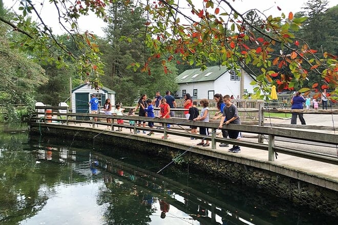 cold spring harbor fish hatchery & aquarium