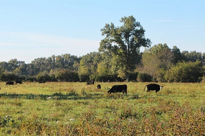 crab orchard national wildlife refuge