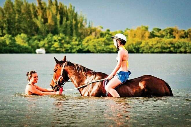 deer prairie creek horseback riding