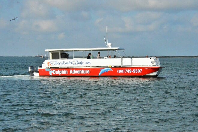 Dolphin Adventures-Scarlet Lady