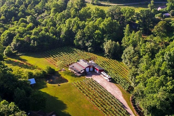 eagle fork vineyards