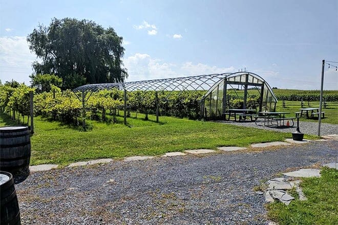 elfs farm winery & cider house