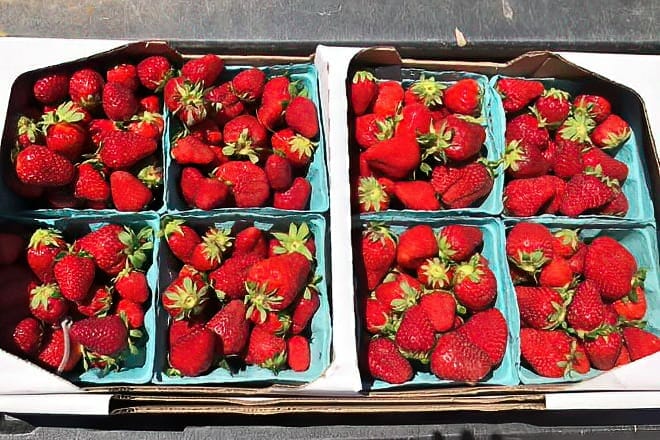 farmer brown's produce and general store