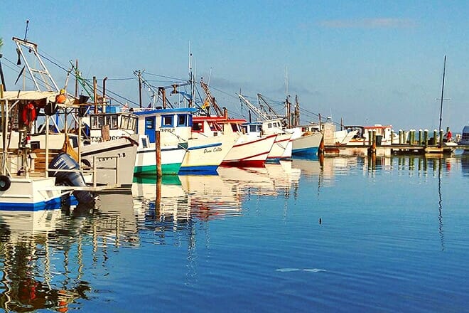 fulton harbor &mdash; fulton