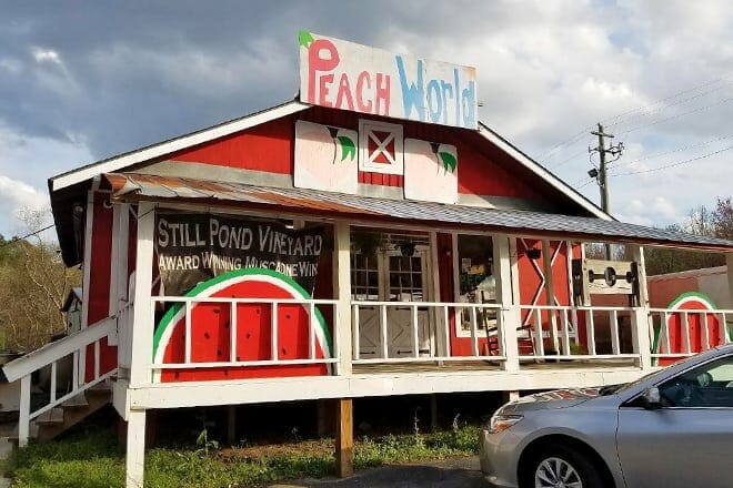 georgia peach world