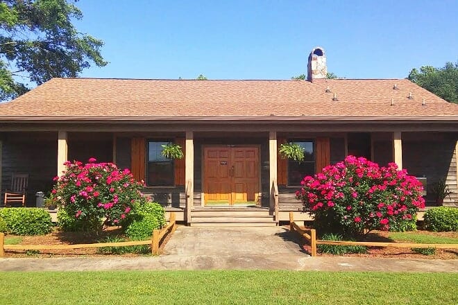 georgia visitor information center plains
