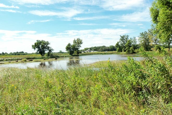 goose lake prairie state natural area