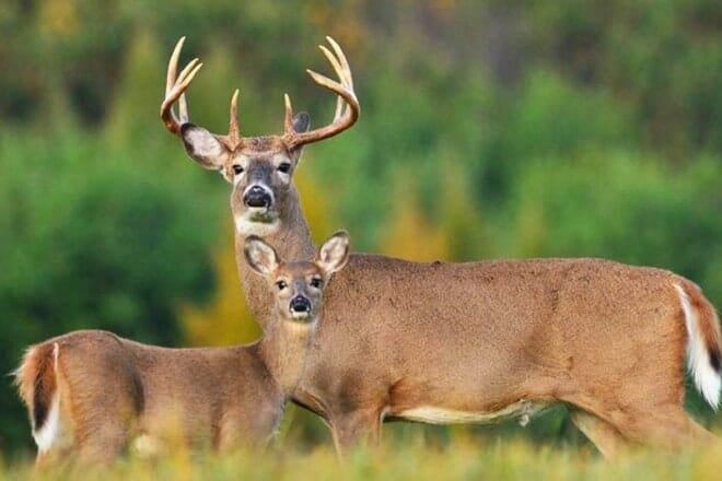 hagerman national wildlife refuge