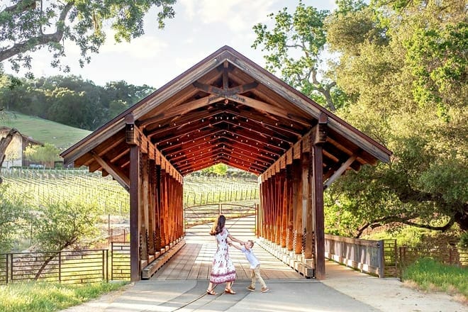 halter ranch vineyard