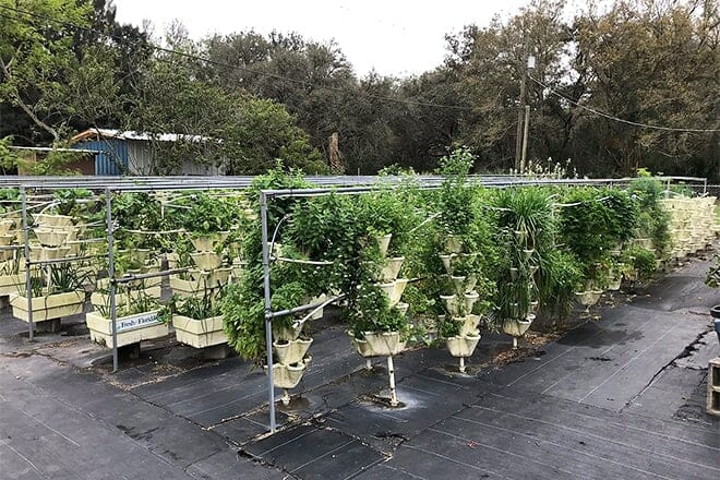 hydro harvest farms