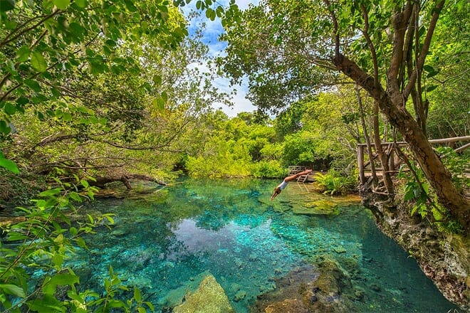 indigenous eyes ecological reserve