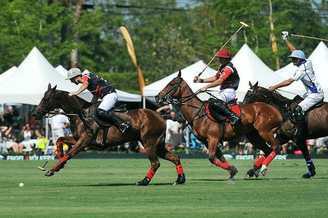 international polo club