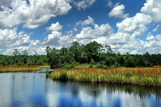 Latham-Whitehurst Nature Park
